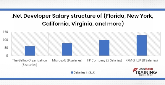 Microsoft .Net Software Developer Salary in USA