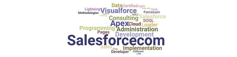 How to Create Salesforce Consultant Resume| Samples & Guide