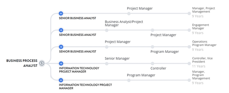 Business Process Analyst: Job Description, Career Tips & Salaries