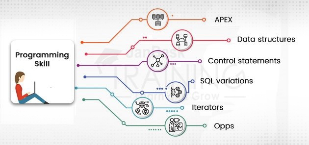 Salesforce Platform Developer 1 Exam Details