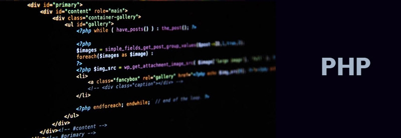 7 Easiest Programming Languages to Make a Growing IT Career With